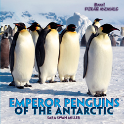 Brrr! Polar Animals | Rosen Publishing